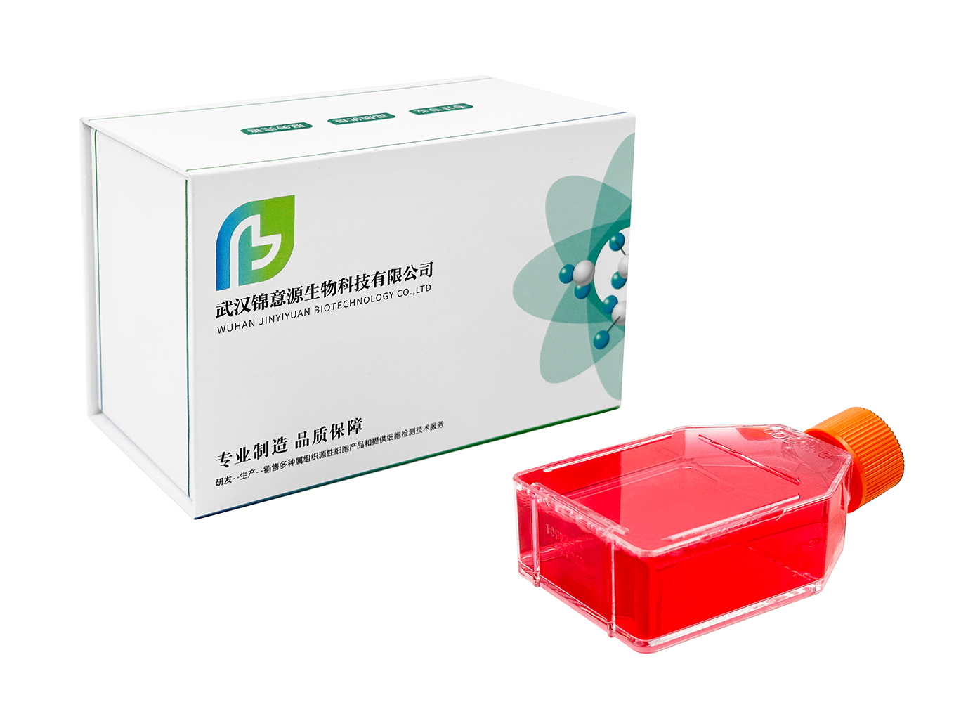 E0771小鼠乳腺癌细胞_锦意源生物